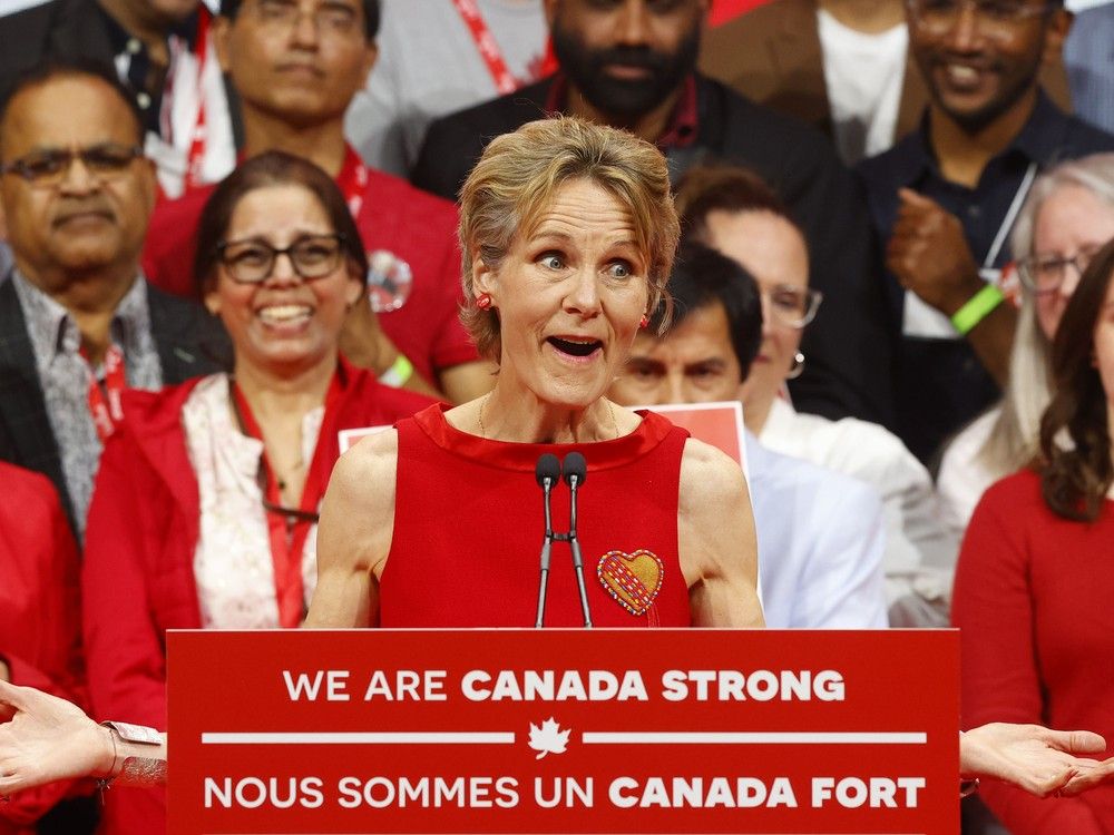 Who is Diana Fox Carney? What to know about the wife of Canada's PM