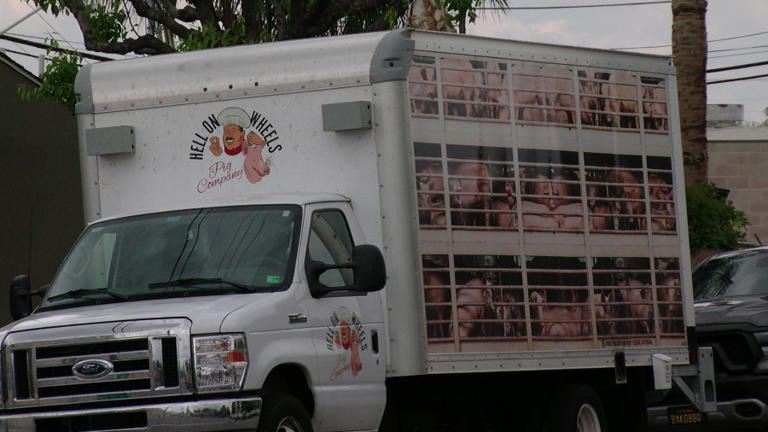 PETA means ‘People Eating Tasty Animals,’ says Bakersfield Barbecue Company