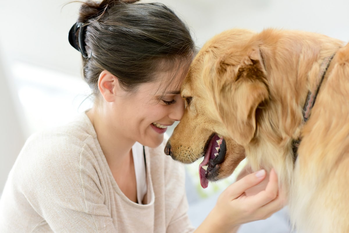 9 Reasons Dogs Are Good for Your Mental Health