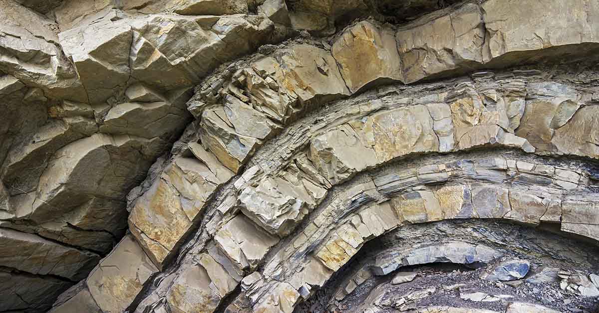 Scientists Discovered the Tunnels of a Possibly Unknown Ancient Lifeform