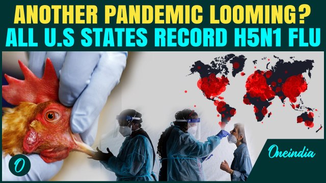 U.S. Faces Potential PANDEMIC As H5N1 Bird Flu Spreads Over All 50 ...