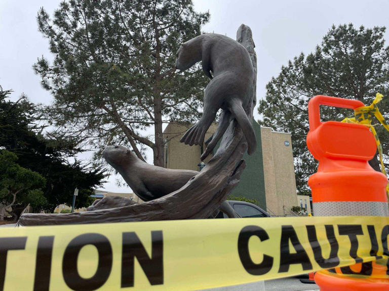 CSUMB’s new sea otter statue vandalized amid student housing frustrations