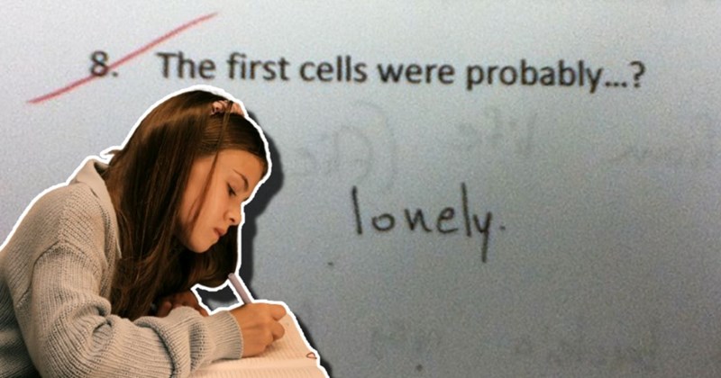 20+ Top Test Errors From Clever Students Who Clearly Didn't Study