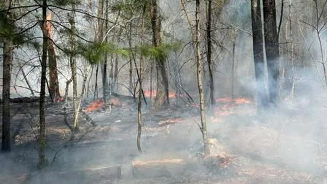 Fast-moving brush fire spreads in Franklin