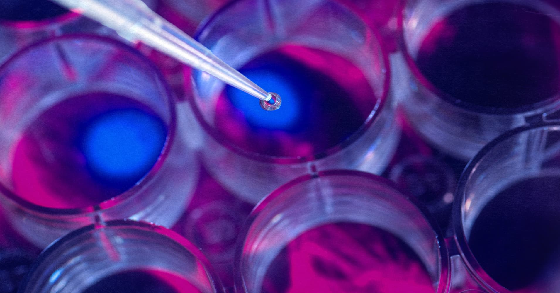 Genomics explained: How tech revealed the information inside our DNA