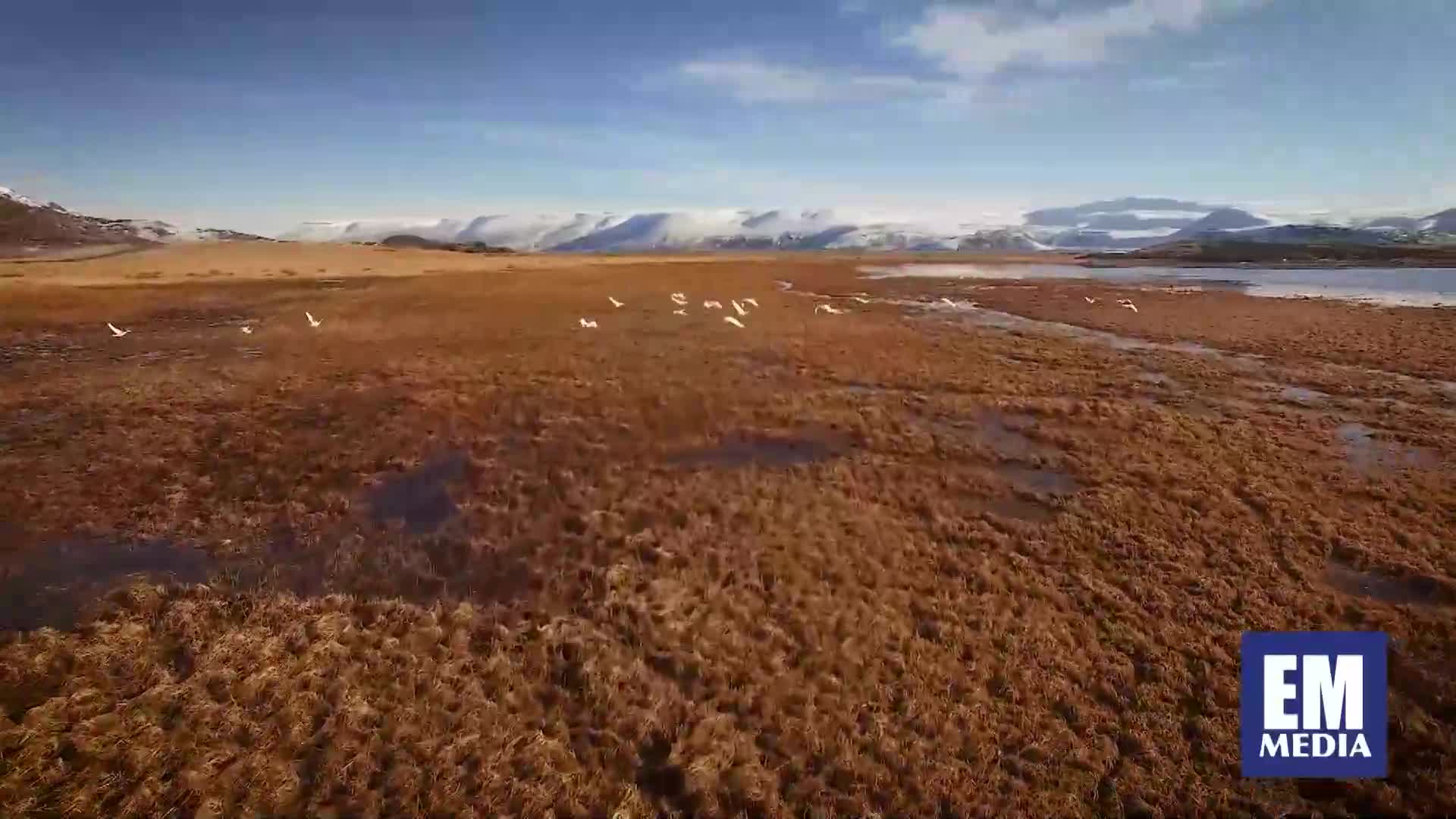 Zimbabwean artists to take on Cecil Rhodes’ colonial legacy in bold ...