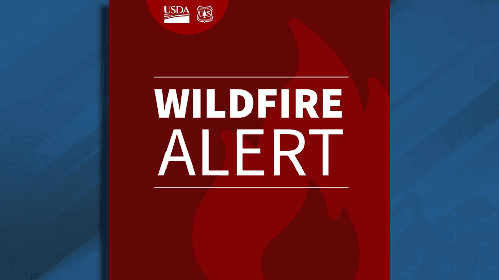 Black Swamp Fire in N.C. grows to 950 acres, 40% containment as crews ...