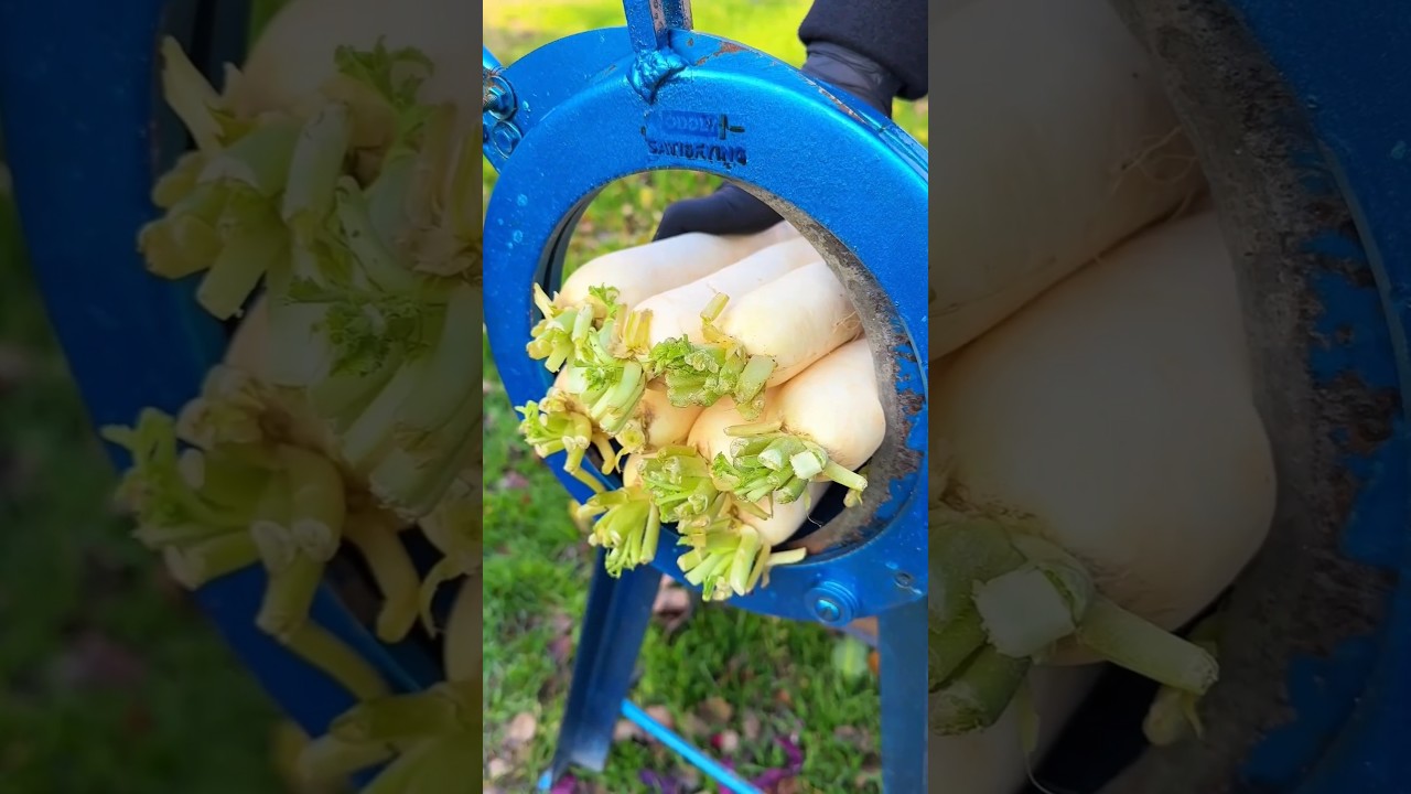 Chopping 'em Off 😳