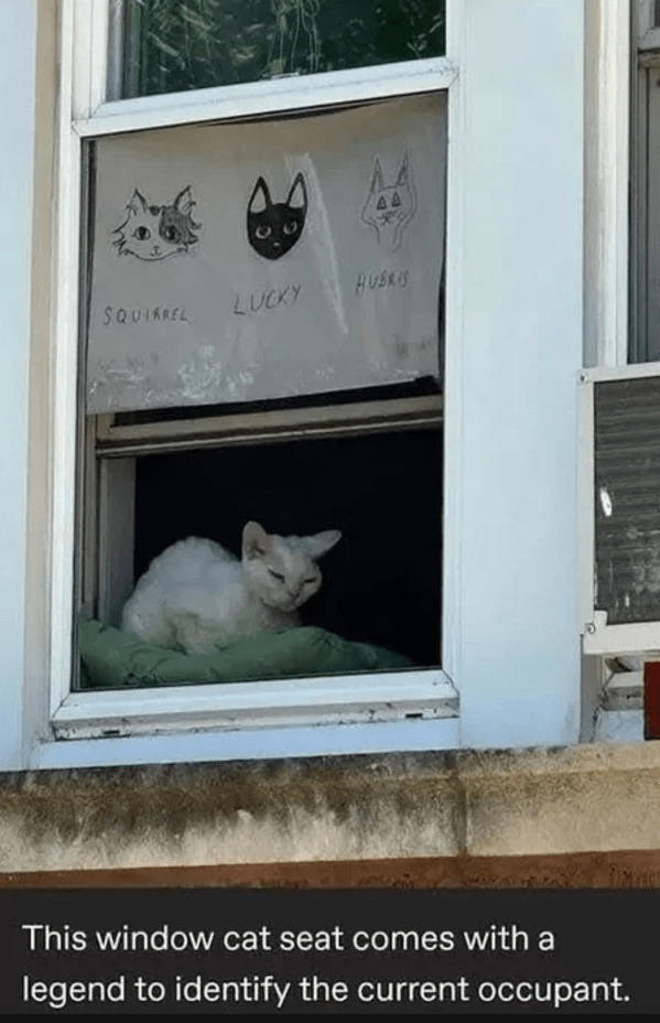 45 Wholesome Memes For A Midday Mood Boost (April 29, 2025)