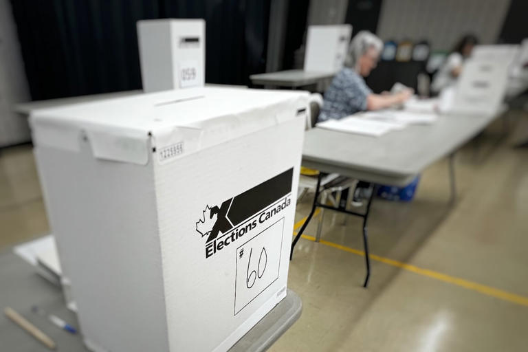 Meet Newfoundland and Labrador's new MPs-elect