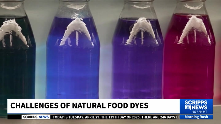 Shifting Shades: The Quest for Natural Food Dye Alternatives