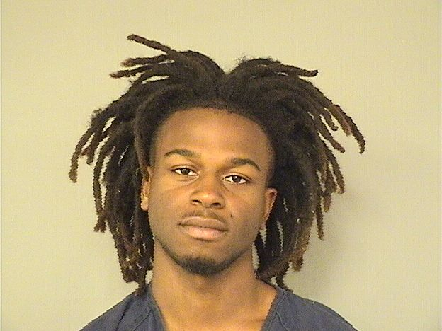 Wellington man pleads guilty to animal abandonment