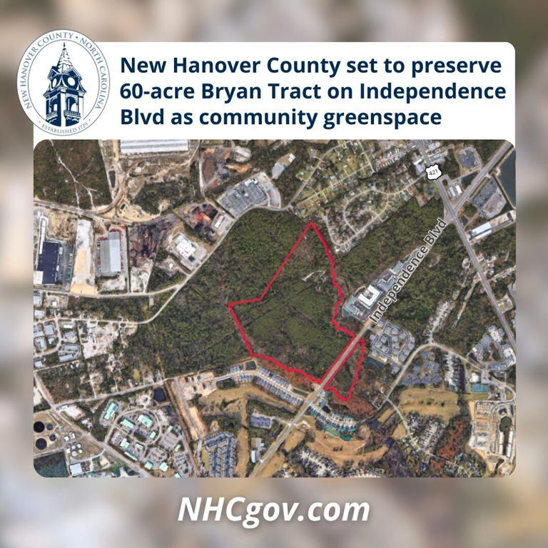 New Hanover County buying and preserving 60 acres of undeveloped land