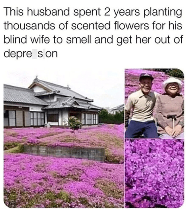 45 Wholesome Memes For A Midday Mood Boost (April 29, 2025)