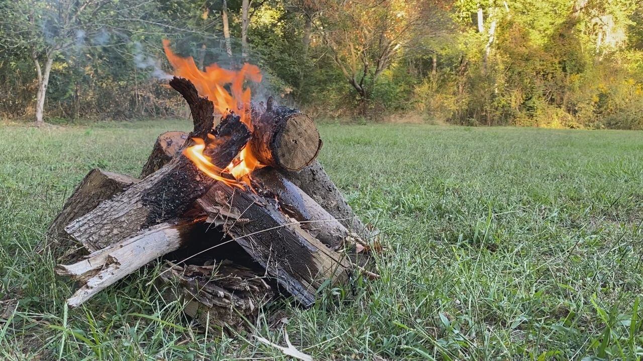 Fuelwood collection permits now available