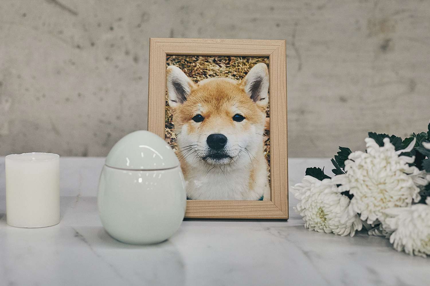 They Trusted Him to Give Their Pets Funerals. But Was He Throwing ...