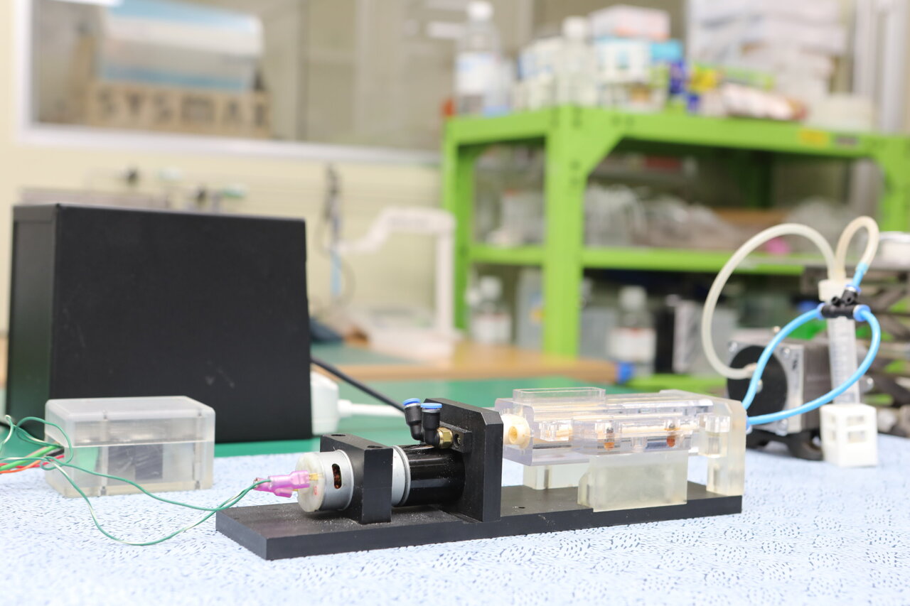 Simplifying solid biosample processing for field-ready diagnostics