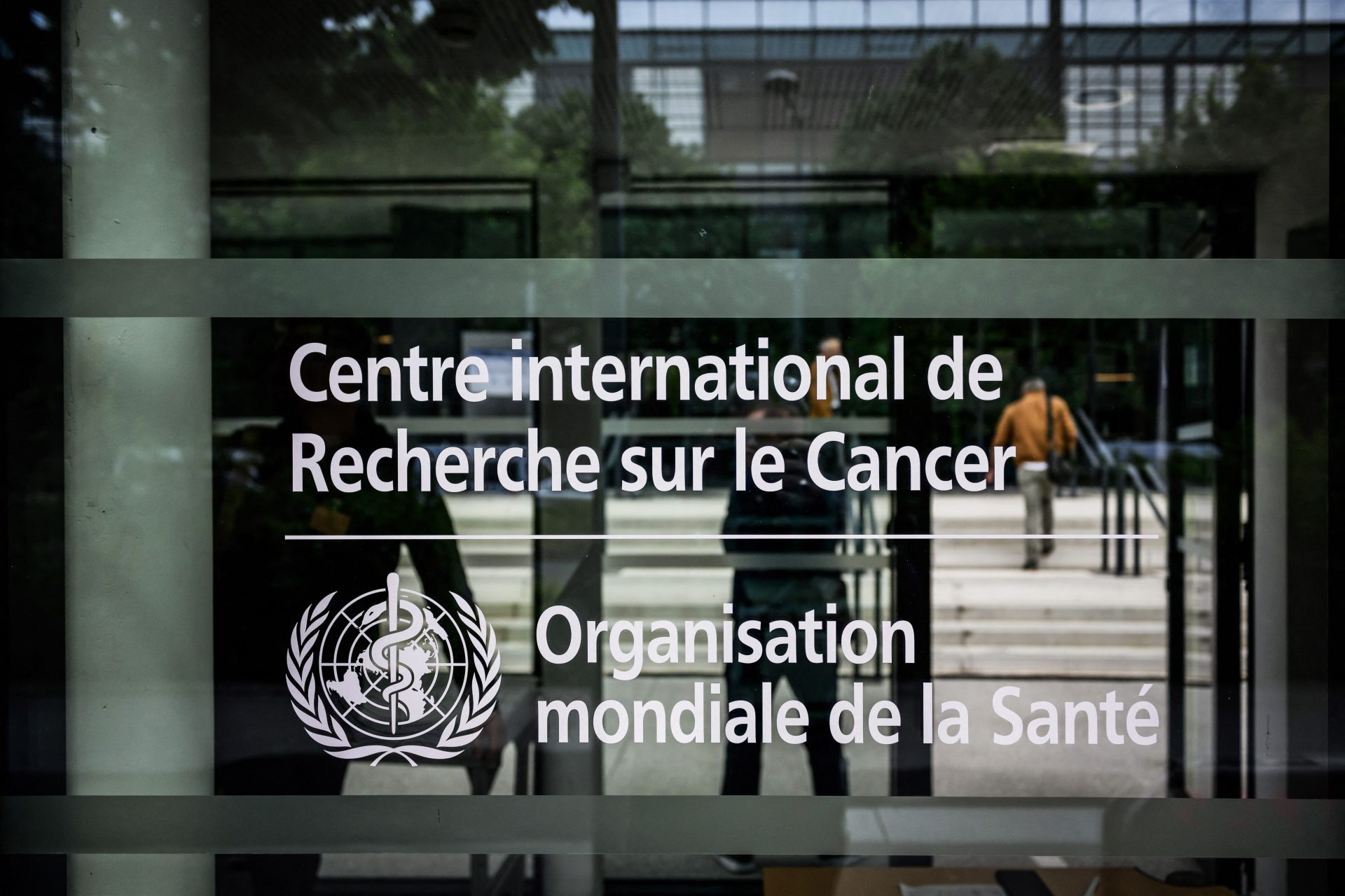 L'aspartame, une substance "potentiellement cancérigène"