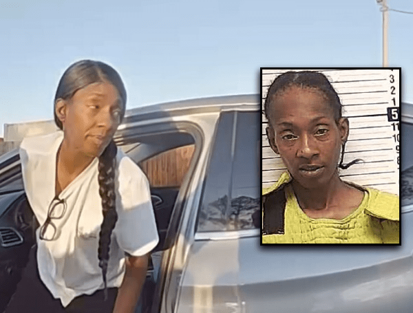 Florida Woman Arrested For Impersonating ICE Agent, Kidnapping Ex ...