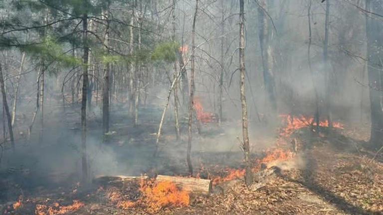 Fast-moving brush fire spreads in Franklin