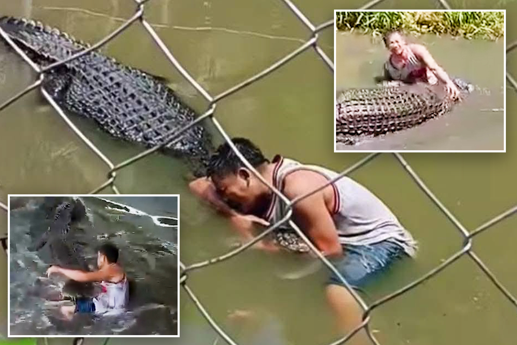 Tourist’s dumb decision nearly costs him his life in crocodile enclosure