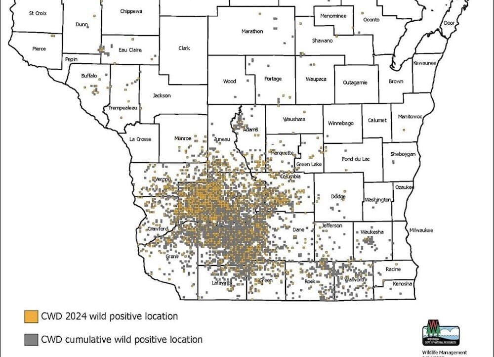 1,786 Wisconsin deer tested positive for chronic wasting disease in 2024