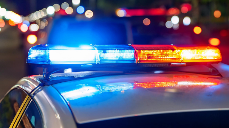 Fond du Lac man bitten by dog, fires gun; tactical response prompted