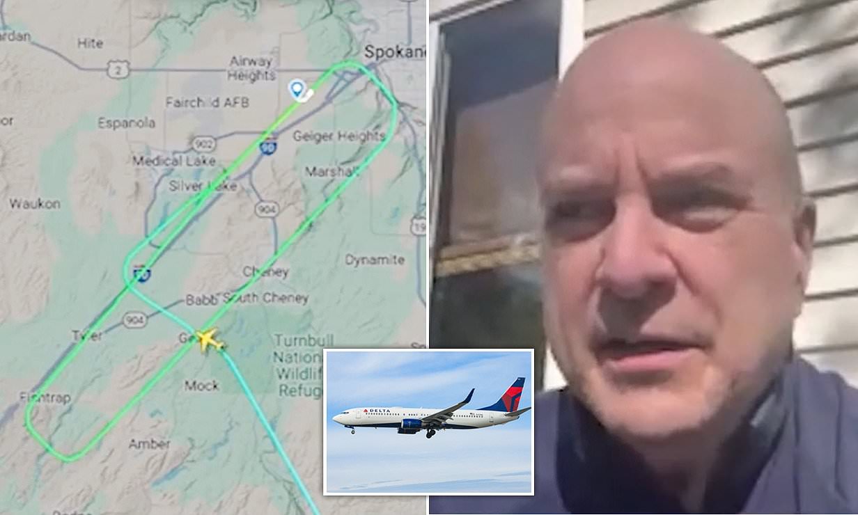 Terrifying sound that filled Delta cabin as jet was forced to abort ...