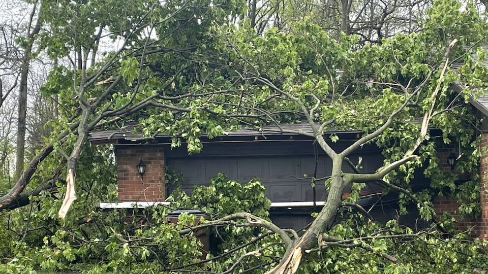 Damage reported as strong storms move through region
