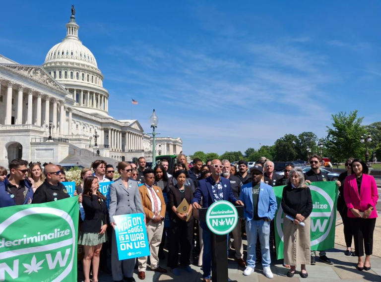 Reps. Omar, Titus Push Bills to Advance Cannabis Research, Federal ...