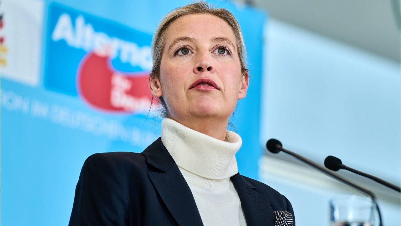 AfD so gefährlich wie NSDAP? Jeder Zweite sagt Ja