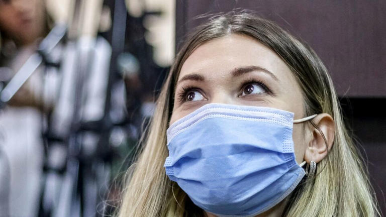 Fossil of a prehistoric land crocodile, which grew up to 20 feet in ...