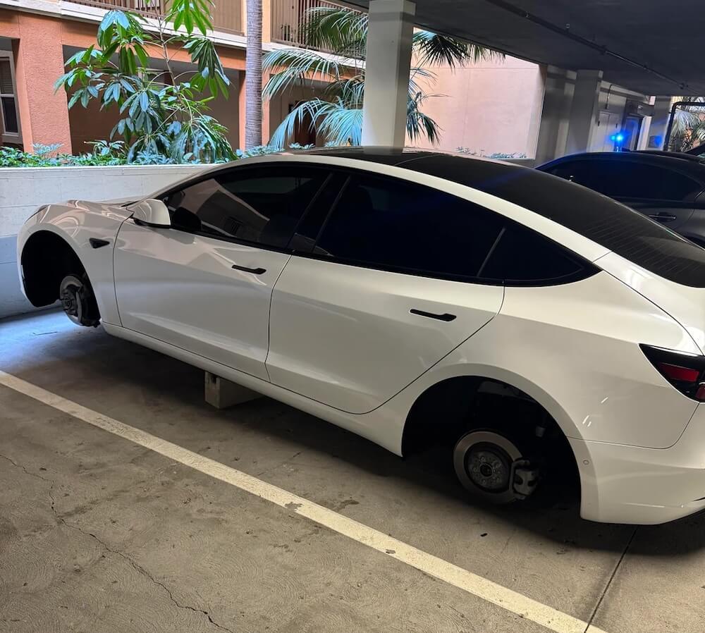 Tesla owner shares shocking photo of upsetting scene in high-security ...
