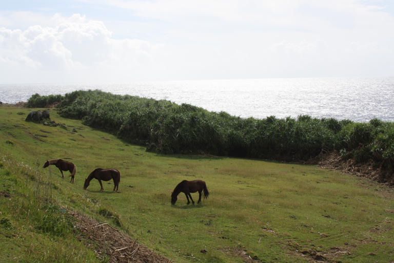 Inside Japan’s race to prepare for war on its doorstep