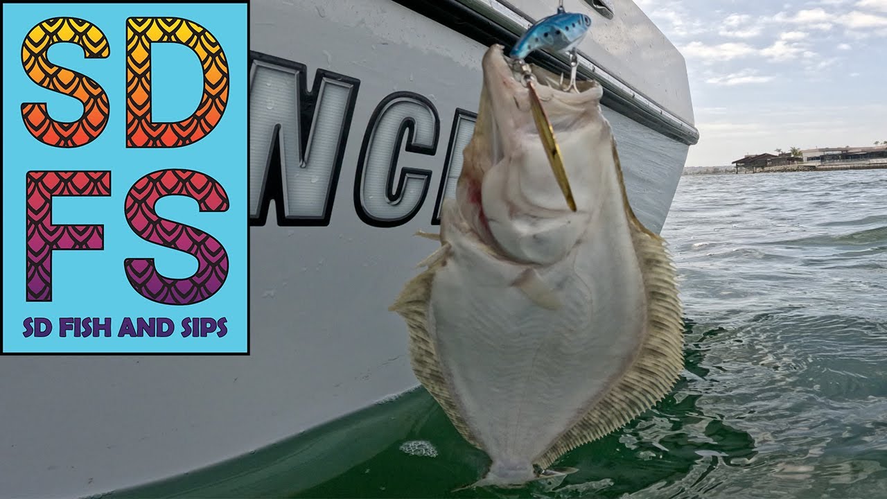 San Diego Bay Day – Micro Jig Fishing Halibut Barracuda Spotted Bay Bass Freedom Boat Club