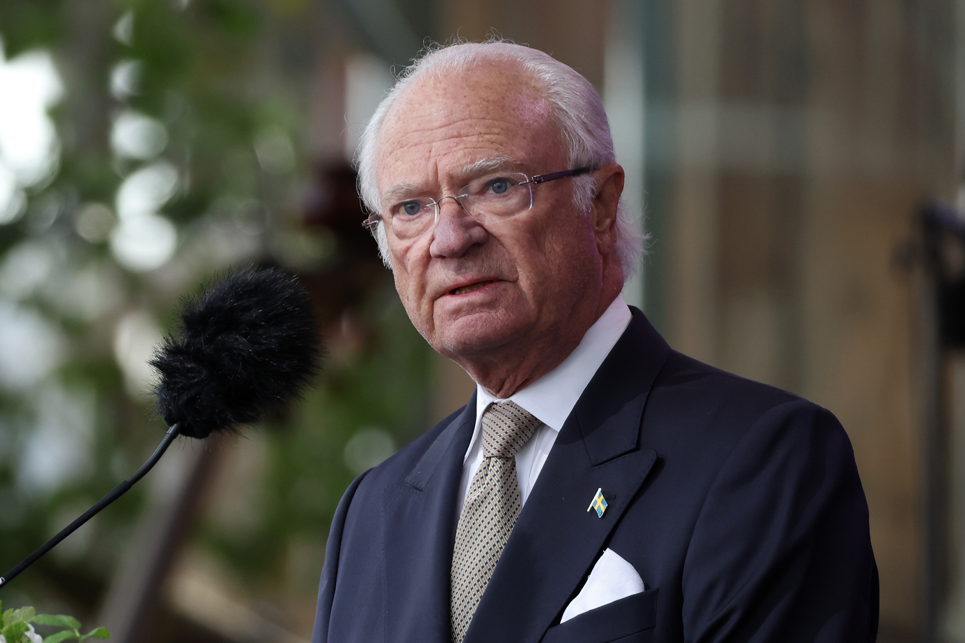 ¿Qué le pasa al rey Carl Gustaf?