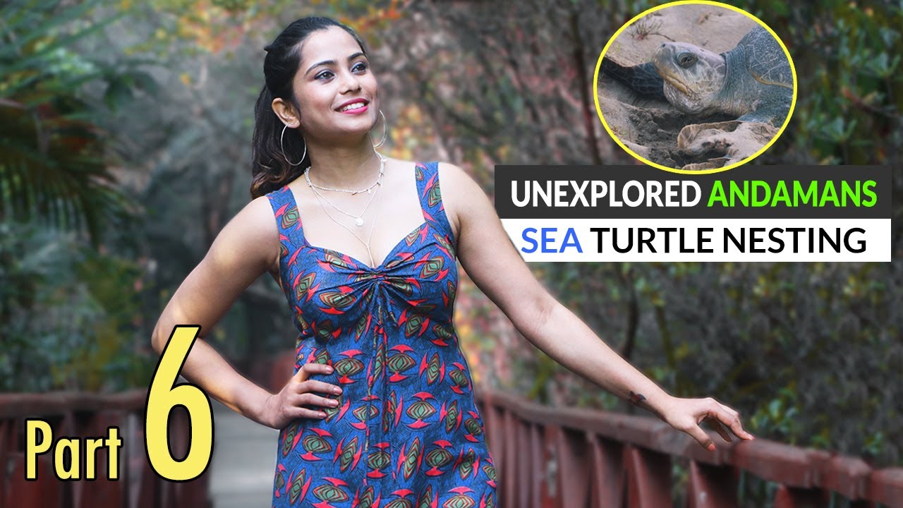 Epic Sunrise & a Giant Sea Turtle Surprise – Dhani Nallah Beach, North ...