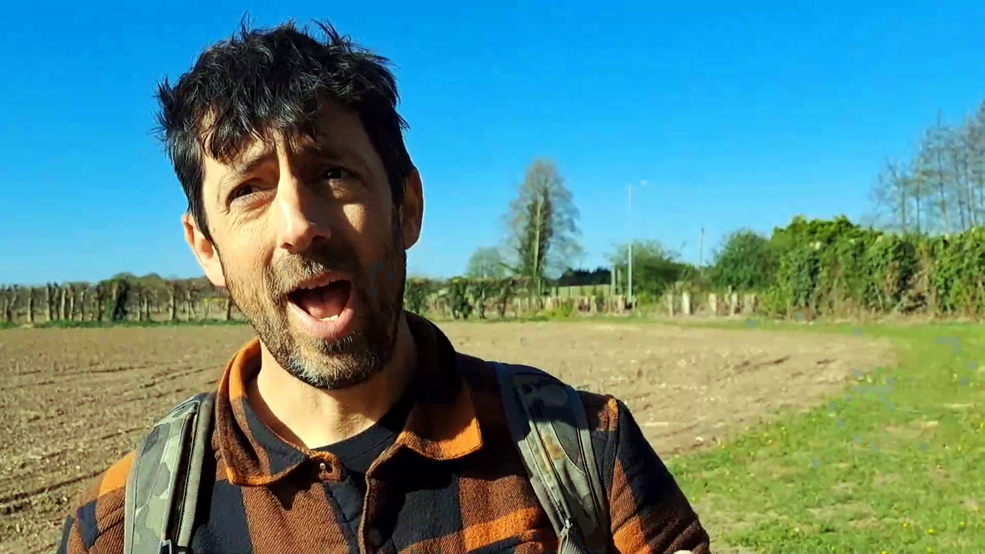 Pictures show ‘decimation’ as scores of mature trees cut down