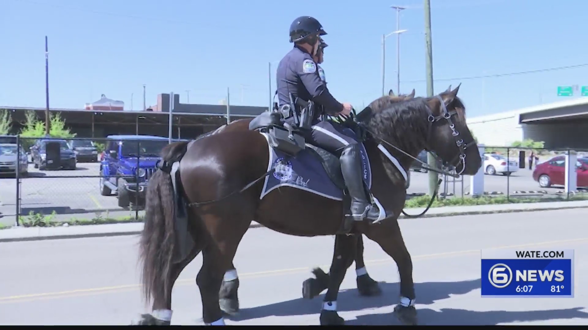 KPD Mounted Patrol Unit completes training period