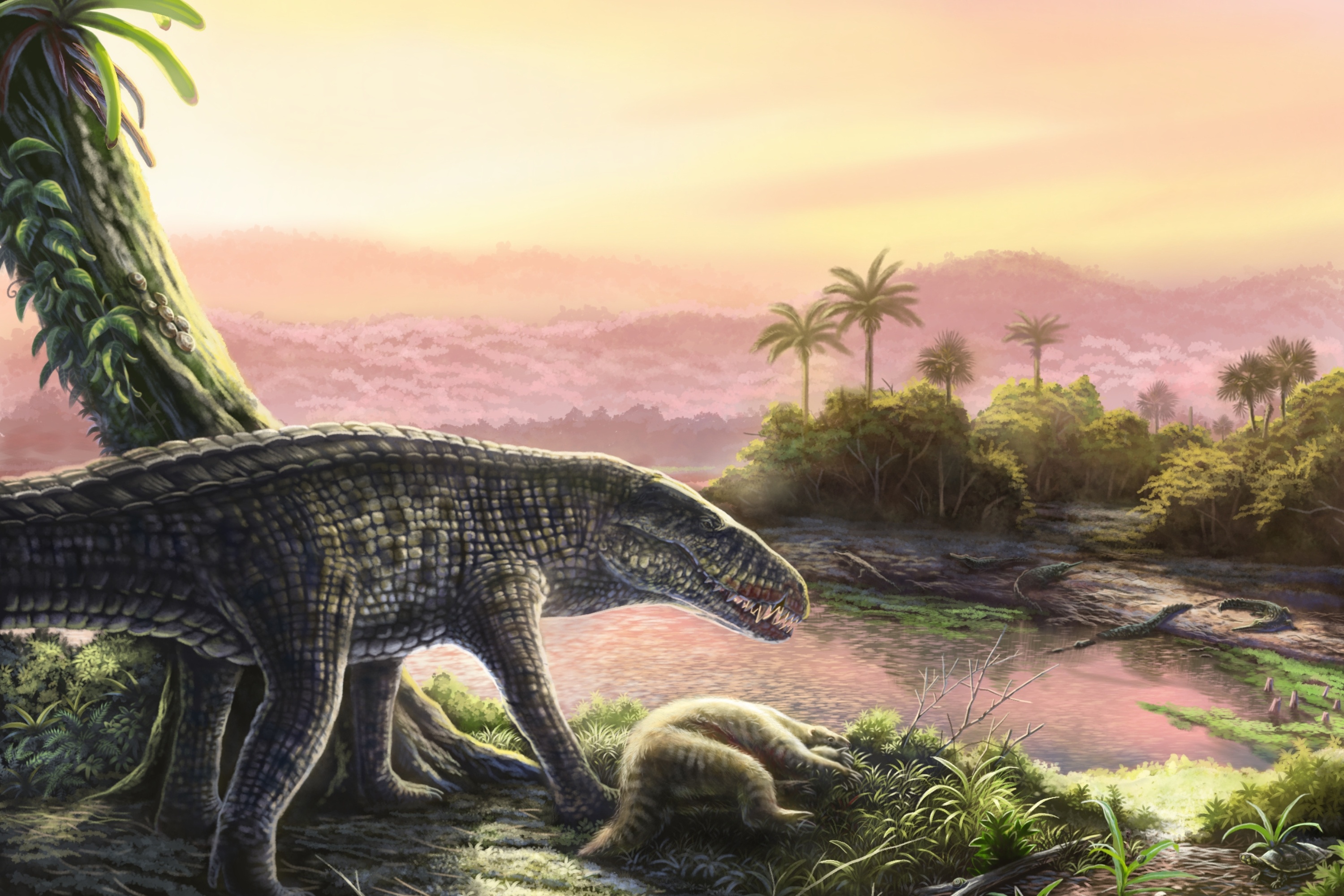 Crocodile-Like Top Predator's Fossils Discovered in Caribbean ...