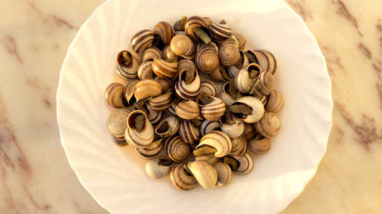 How To Prepare Canned Escargot For A Meal That's Fancy Without The Fuss
