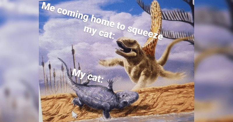 A Purification Ritual of 32 Memes