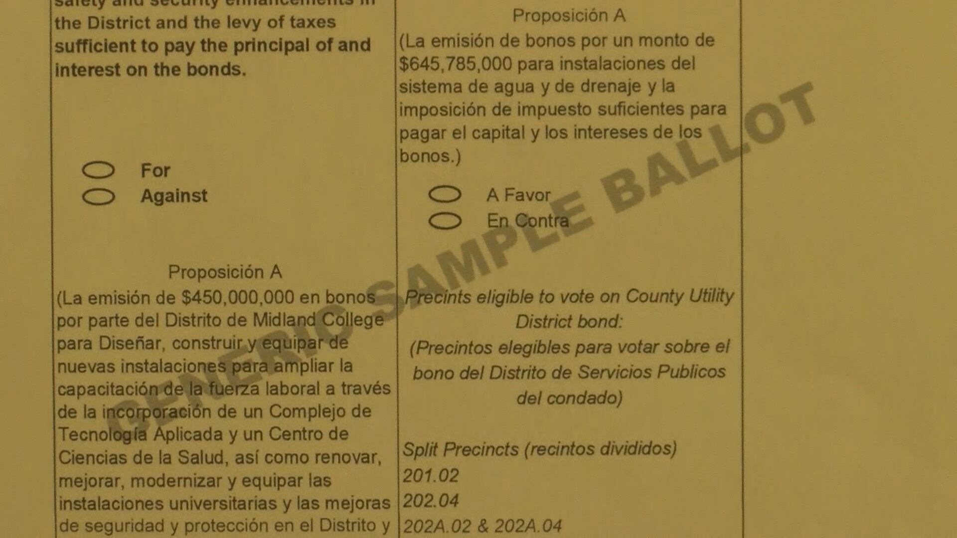 What Election Day ballots could include