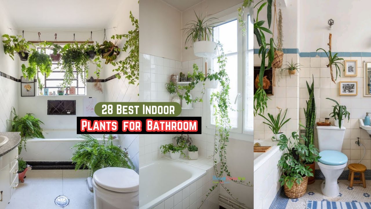 28 must-have indoor plants that brighten bathrooms