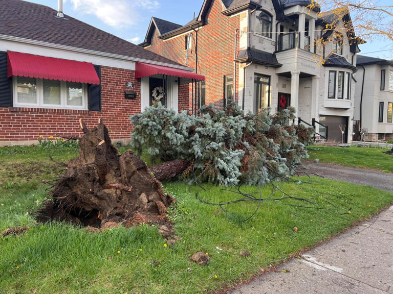 Thousands without power after storm brings strong winds to Toronto