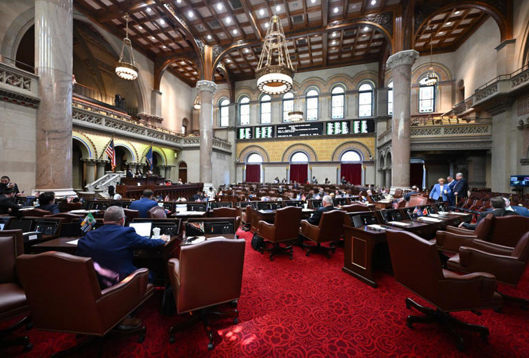 NY state Assembly passes controversial assisted suicide bill after 5 hours of emotional debate
