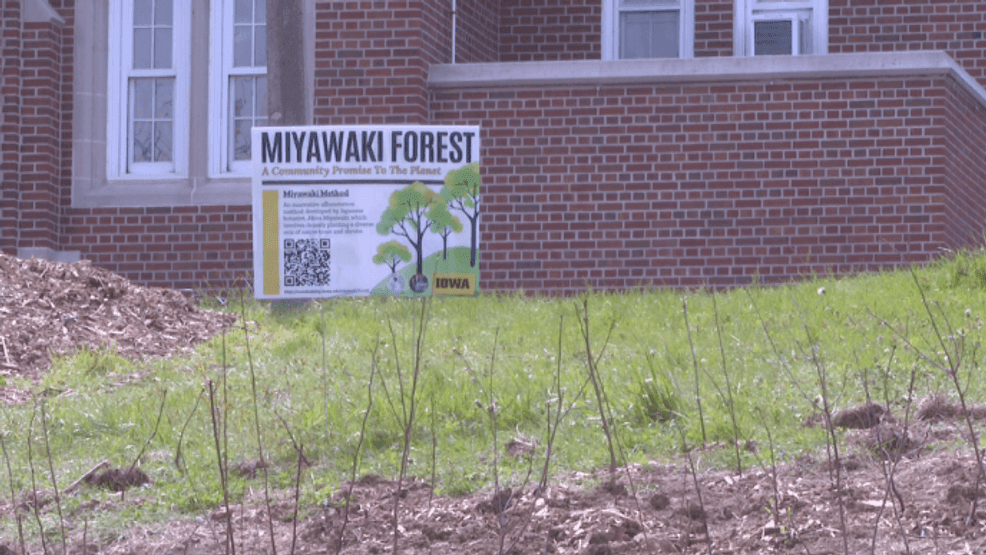 University of Iowa plants state's largest Miyawaki forest
