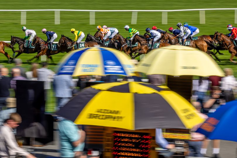 Punchestown Festival day 2 full race card and tips - list of runners ...