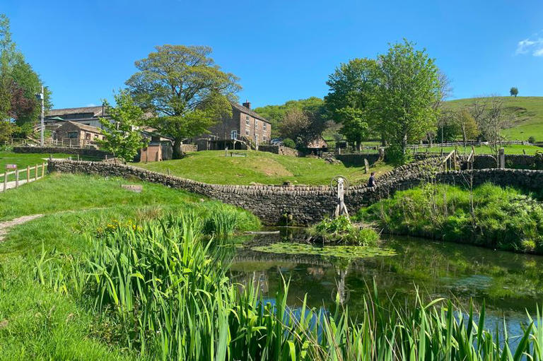 The 'wonderful' Peak District ice cream farm with family-friendly ...