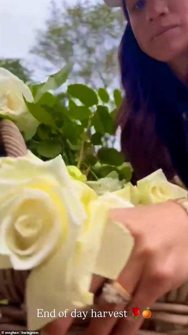 Meghan shares glimpse of her enormous Montecito garden as she shows off ...